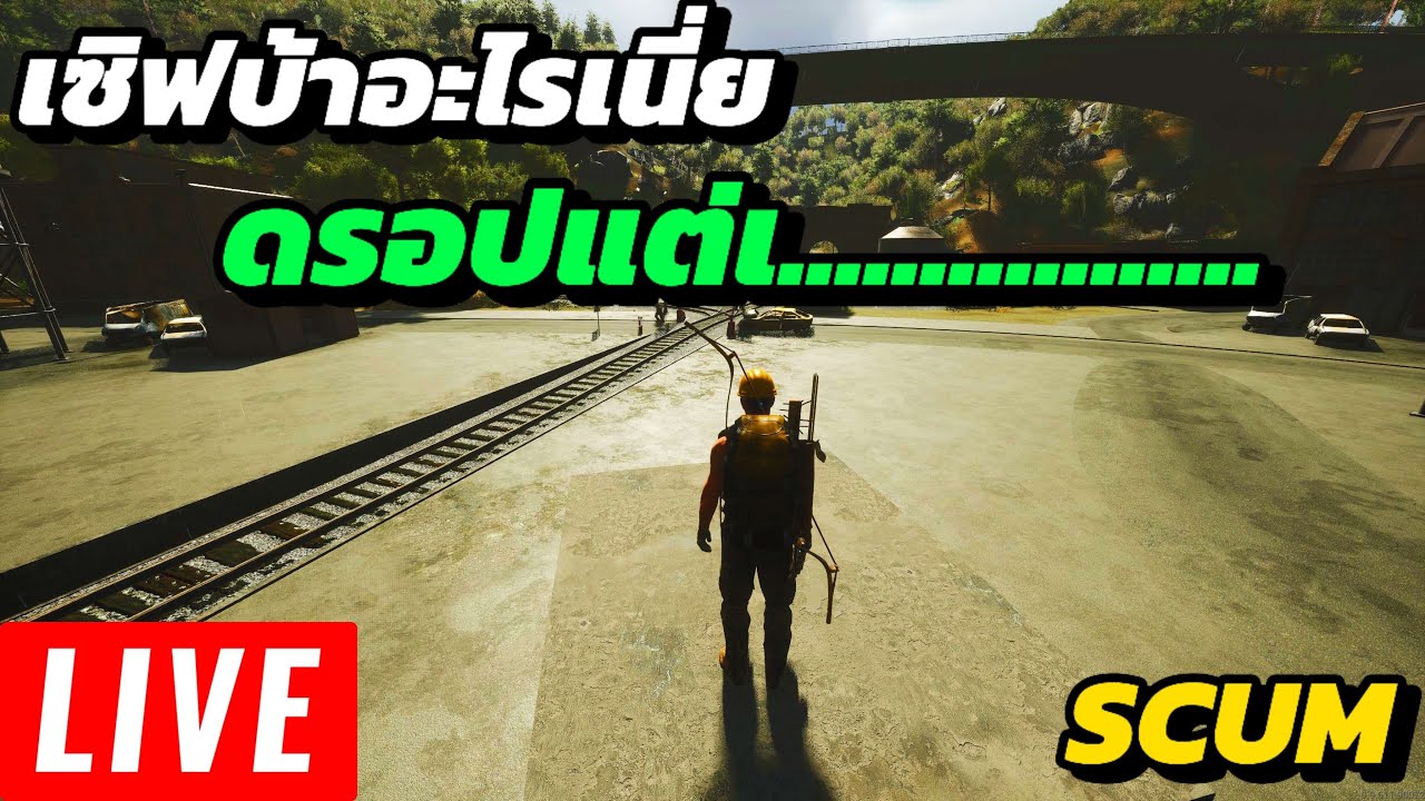[LIVE] SCUM - เซิฟบ้าอะไรเนี่ย ดรอปแต่เง....... #scum #survival #gaming ...