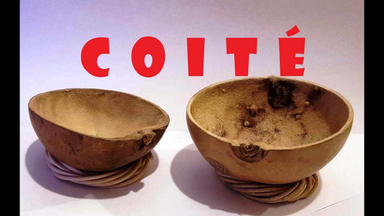 Coité | Planta para utensílios e medicinal - YouTube