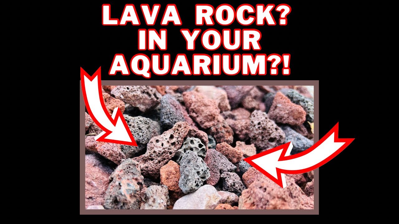 All About Lava Rock In Your Aquarium! - YouTube
