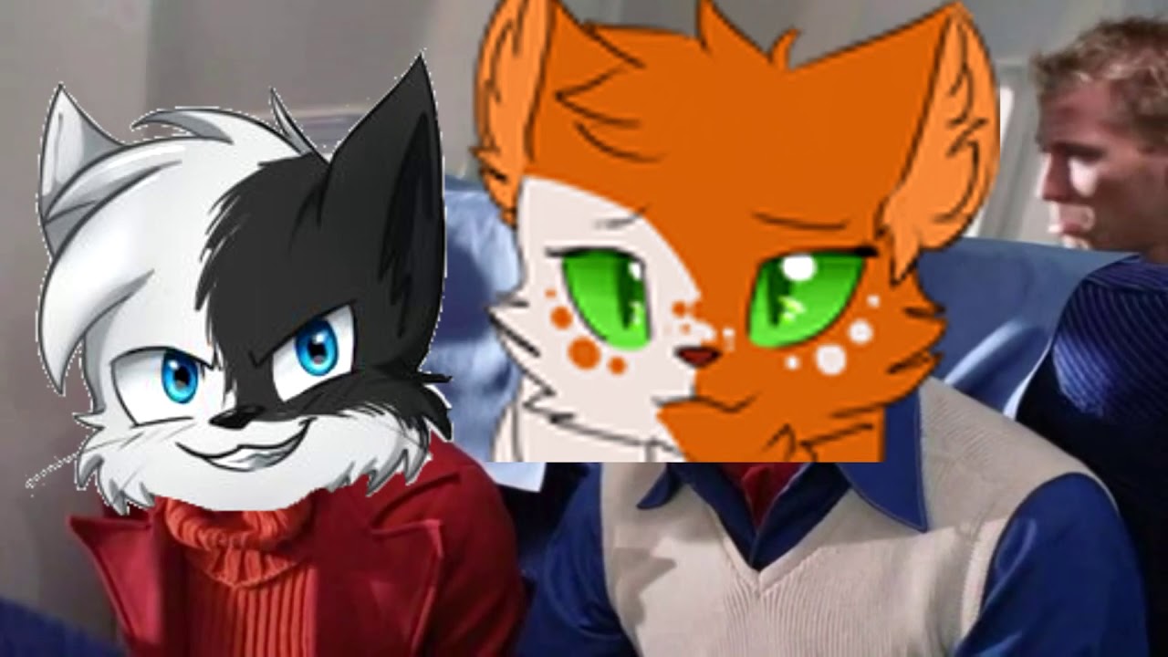 How Brightheart Really Lost Her Face - YouTube