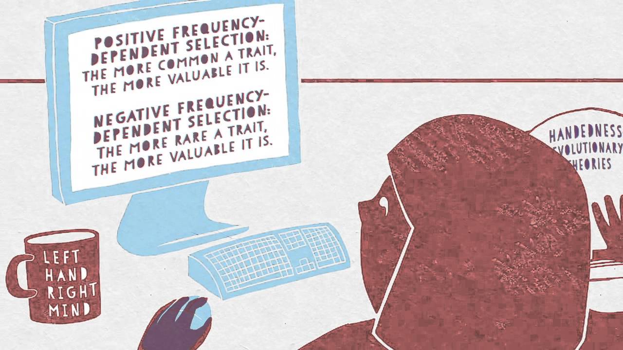 TED Ed ...Why are some people left handed Daniel M Abrams - YouTube