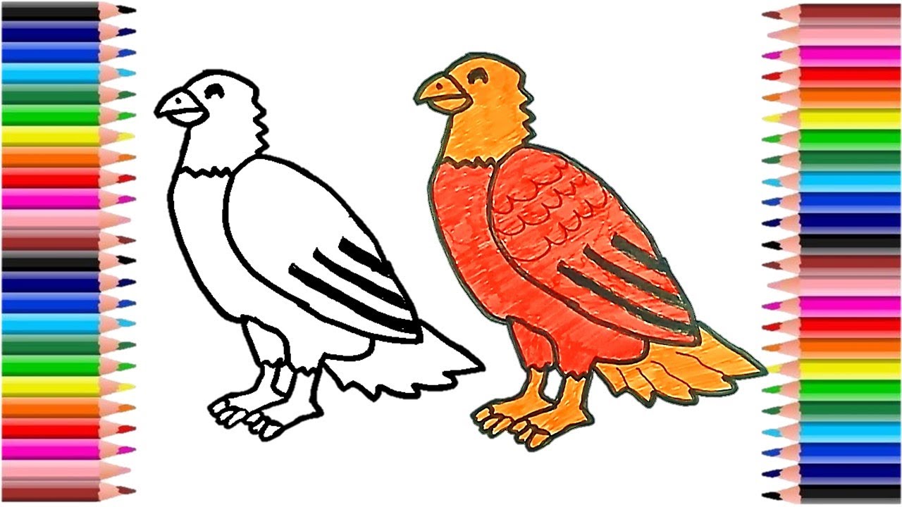 How to Draw and Color an Eagle for Kids Step by Step Tutorial Eagle ...