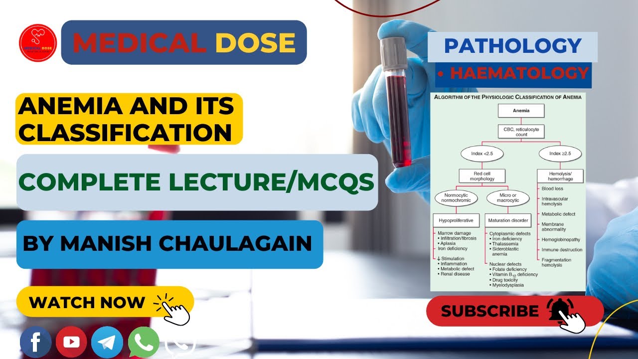 8.1 Anemia and its Classification || Hematological Disorders || - YouTube