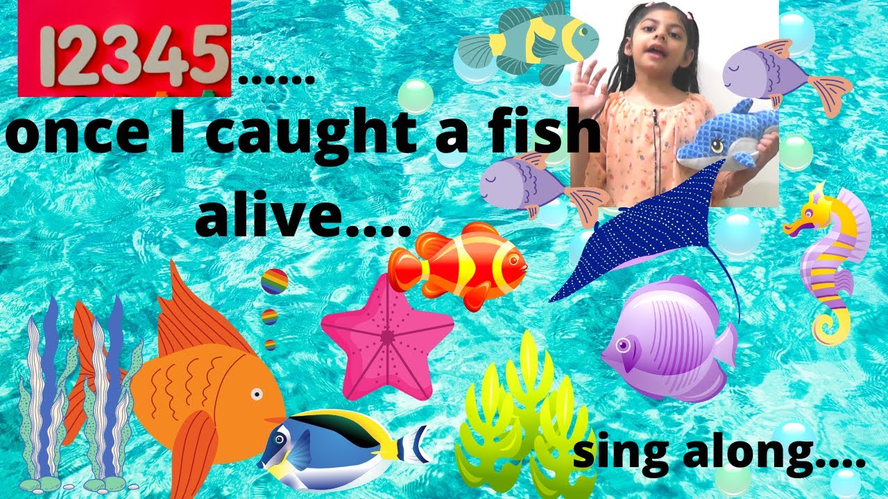 Once I Caught a Fish Alive - Kids' Rhyme @aayushiandparina - YouTube