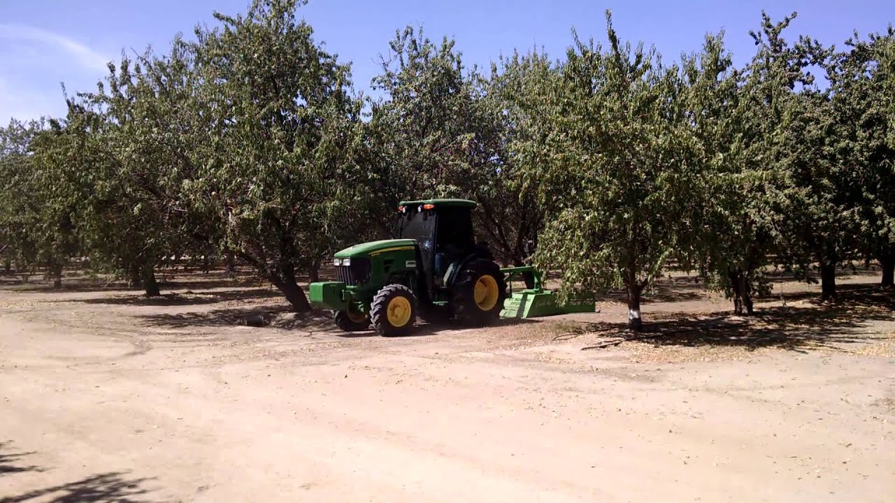 NUT ROW PRO ALMOND ROW COMPLETE 45 SEC. AFTER SWEEPER EXITS ROW - YouTube