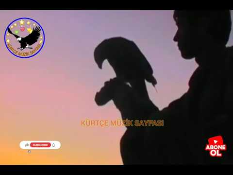 Duygusal WhatsApp durum videoları için abone olmayı unutmayın lütfen