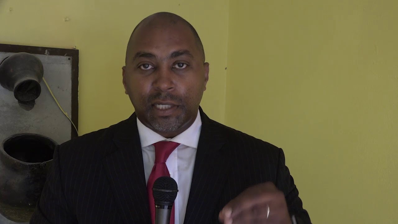 Julian Robinson - PNP challenging the constitutionality of sections of ...