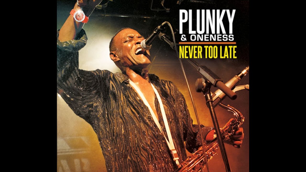 Plunky & Oneness NEVER TOO LATE Album Clips - YouTube