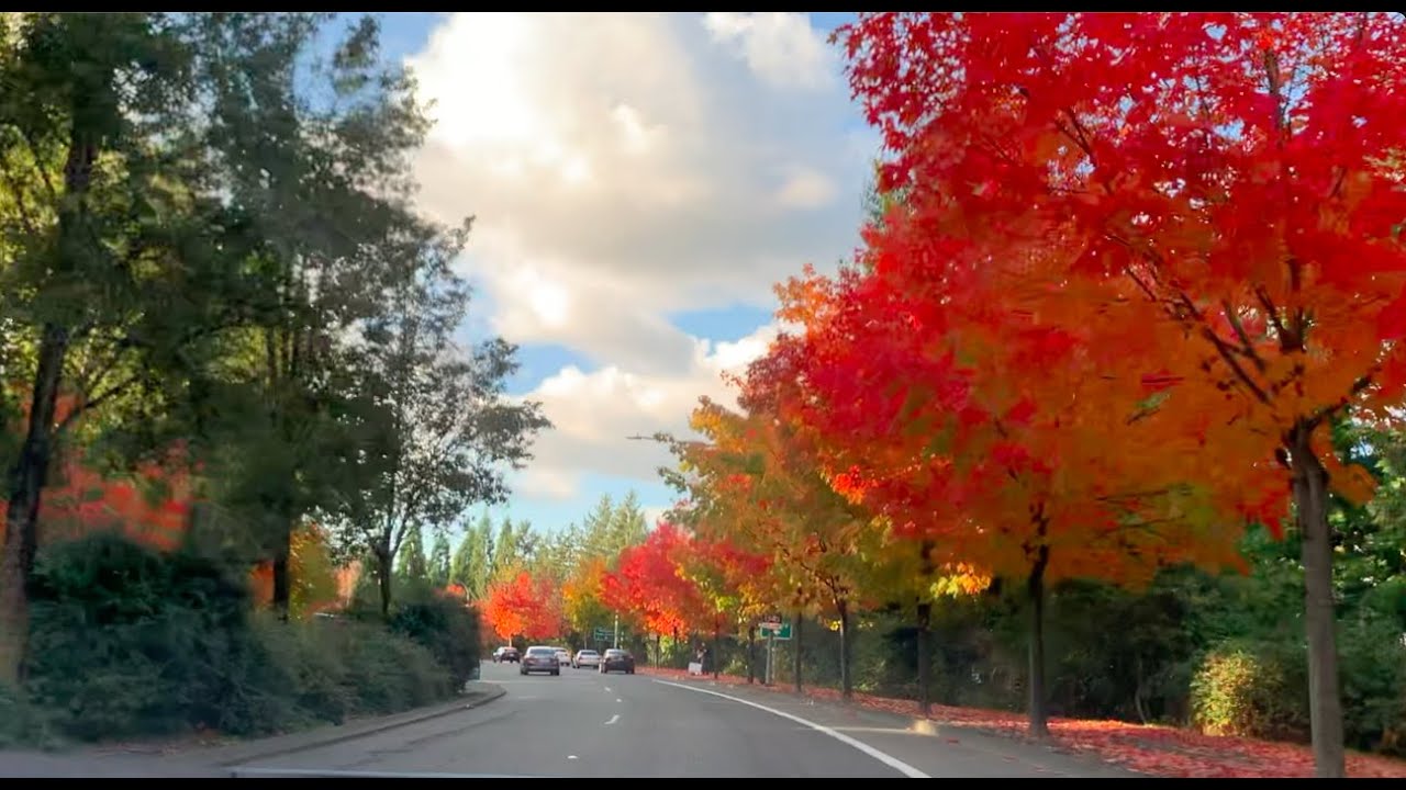 Fall Color in Redmond Washington - Beautiful Fall Season (West Lake ...