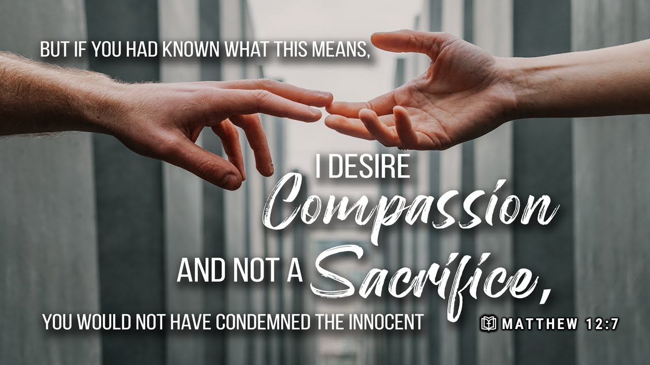 Lord of the Sabbath | Matthew 12:1–21 - YouTube