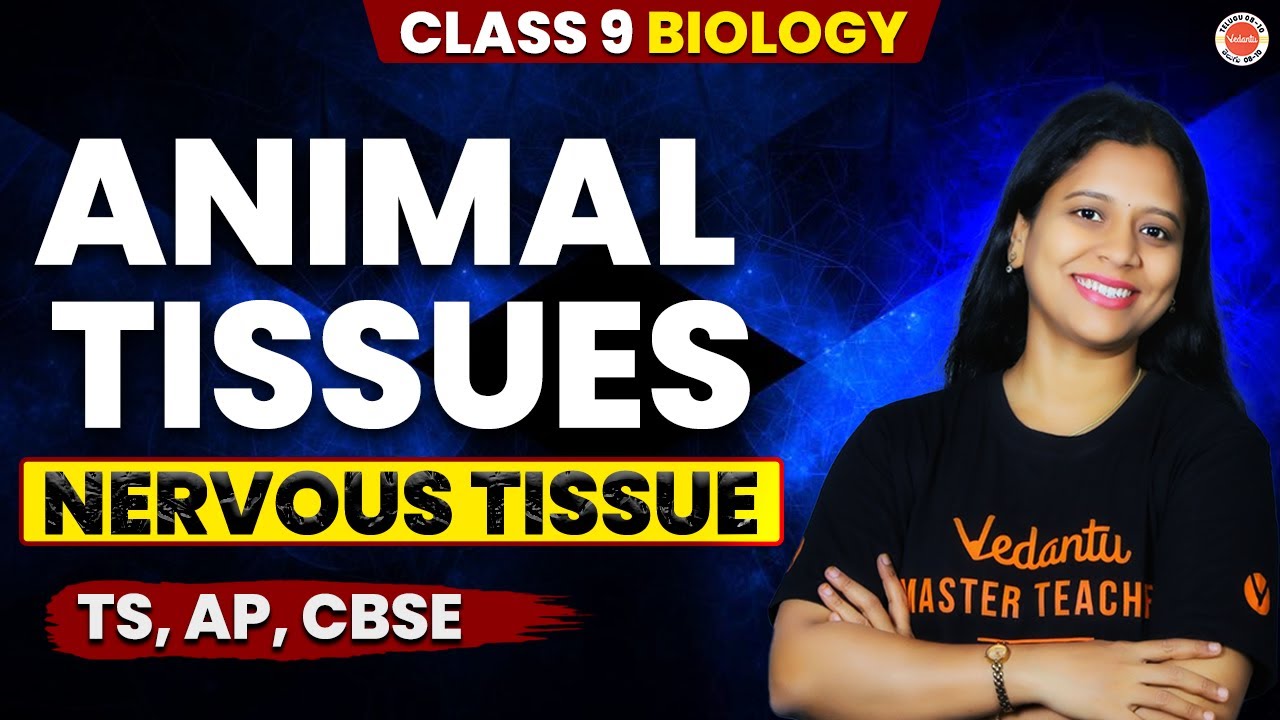 Animal Tissues Nervous Tissue Class 9 Biology TS AP CBSE SSC animal-tissues-nervous-tissue-class-9-biology-ts-ap-cbse-ssc
