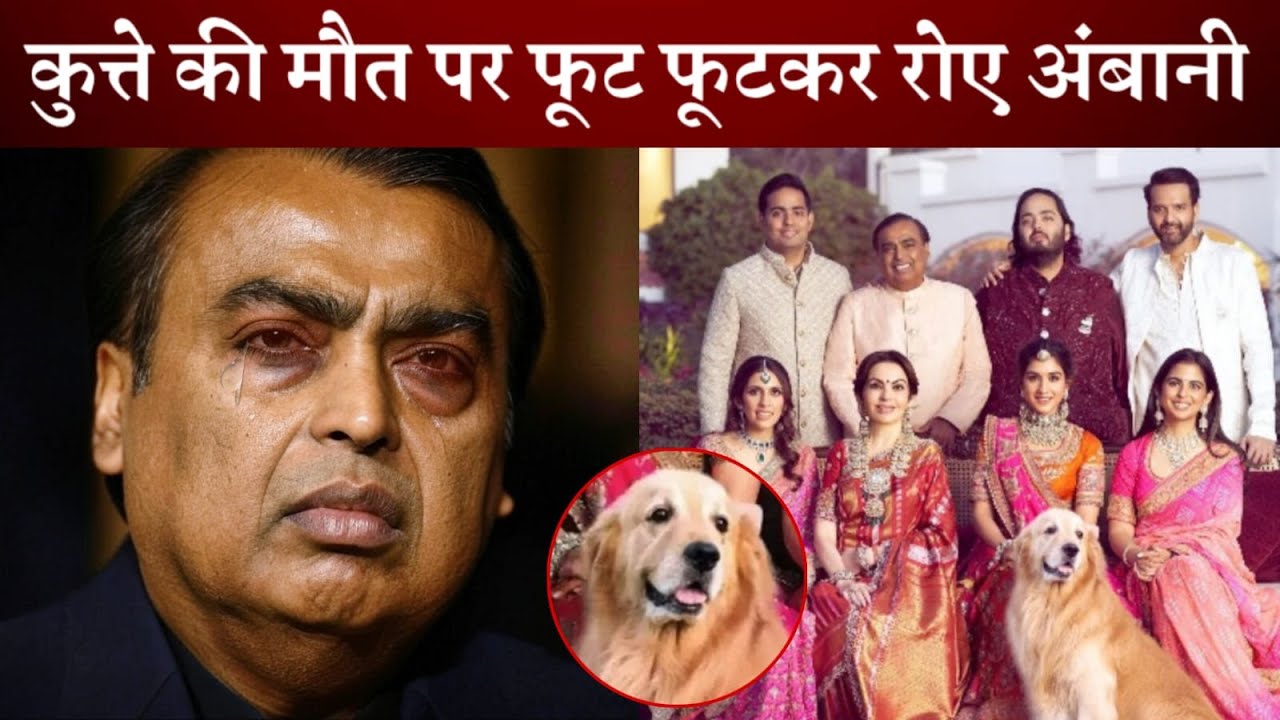 Mukesh Ambani and the entire Ambani family got emotional after losing ...