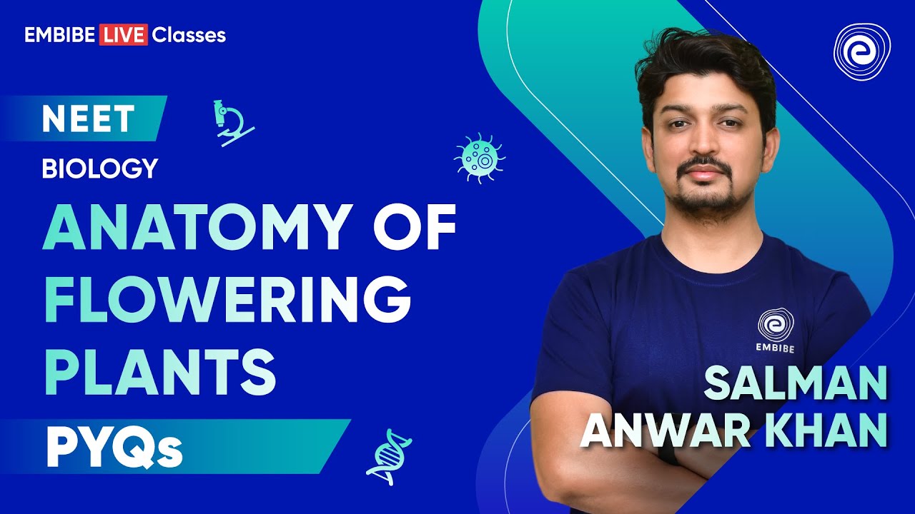 Anatomy of Flowering Plants | Previous Year Questions | NEET 2023 ...