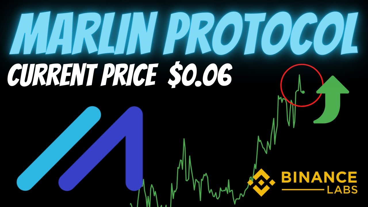 Marlin Protocol (POND) is a Layer 0 Solution | Binance Launchpad | Altcoin Analysis - YouTube