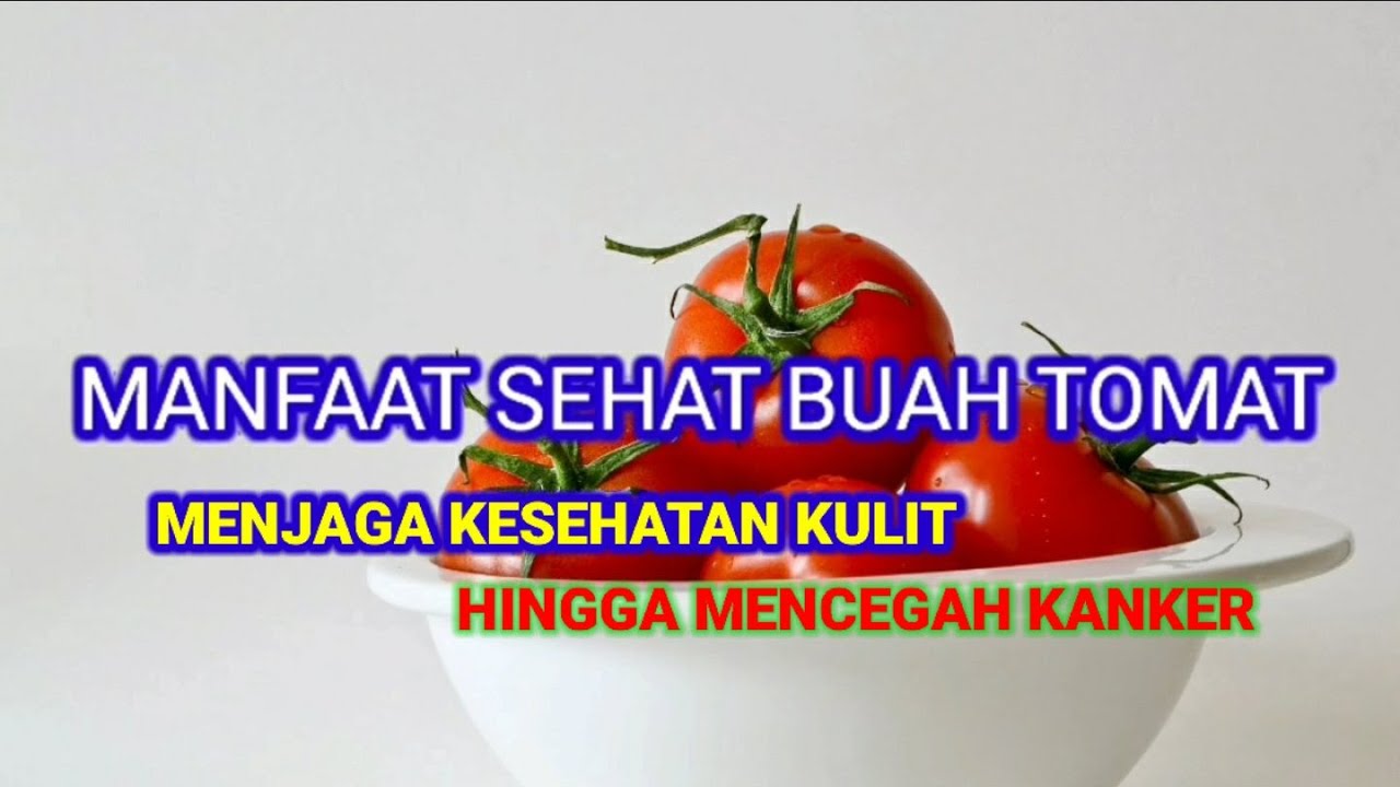 MANFAAT SEHAT BUAH TOMAT || Menjaga Kesehatan Kulit hingga Mencegah ...