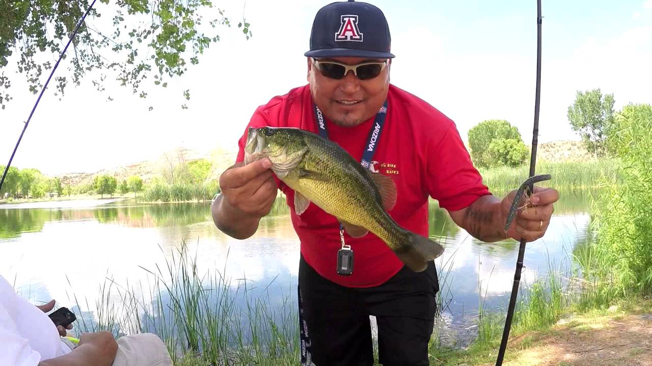 Dead Horse Ranch State Park Summer Bass Fishing - YouTube