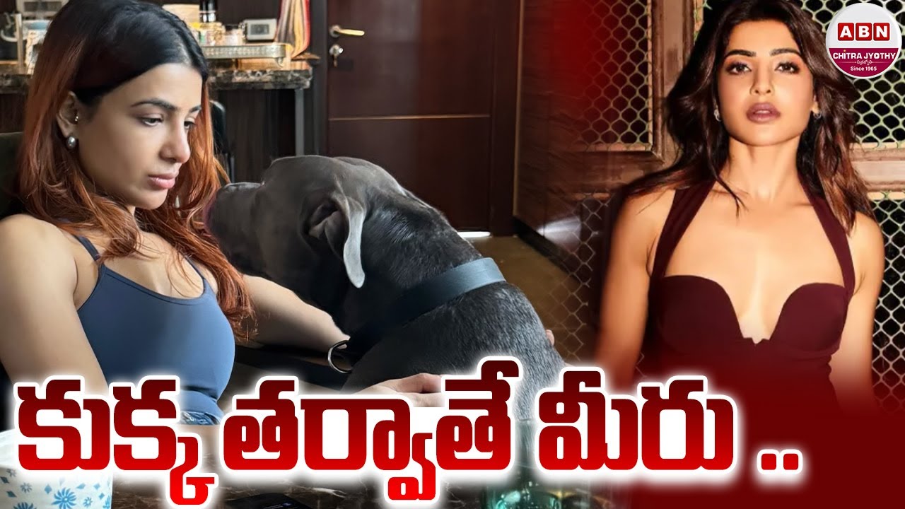 కుక్క తర్వాతే మీరు | Samantha SHOCKING Insta Post | No Love Like Saasha Love | ABN Chitra Jyothy ...