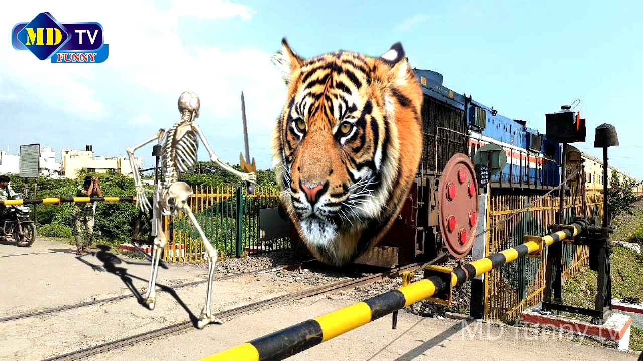 tiger and train wala funny video | train and tiger video | train and ...