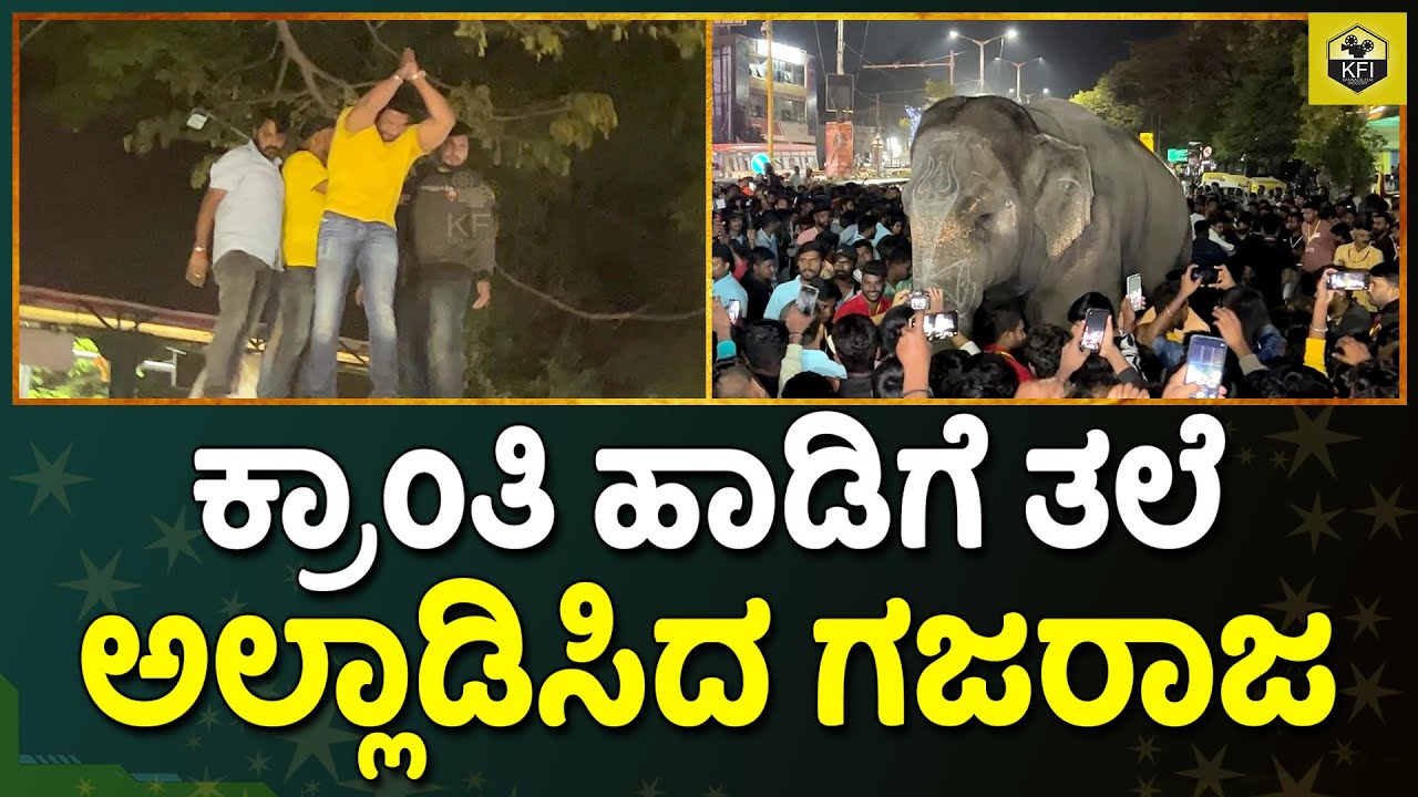 ಕ್ರಾಂತಿ ಹಾಡಿಗೆ ತಲೆ ಅಲ್ಲಾಡಿಸಿದ ಗಜರಾಜ🐘| Kranti Dharani Song | Darshan ...