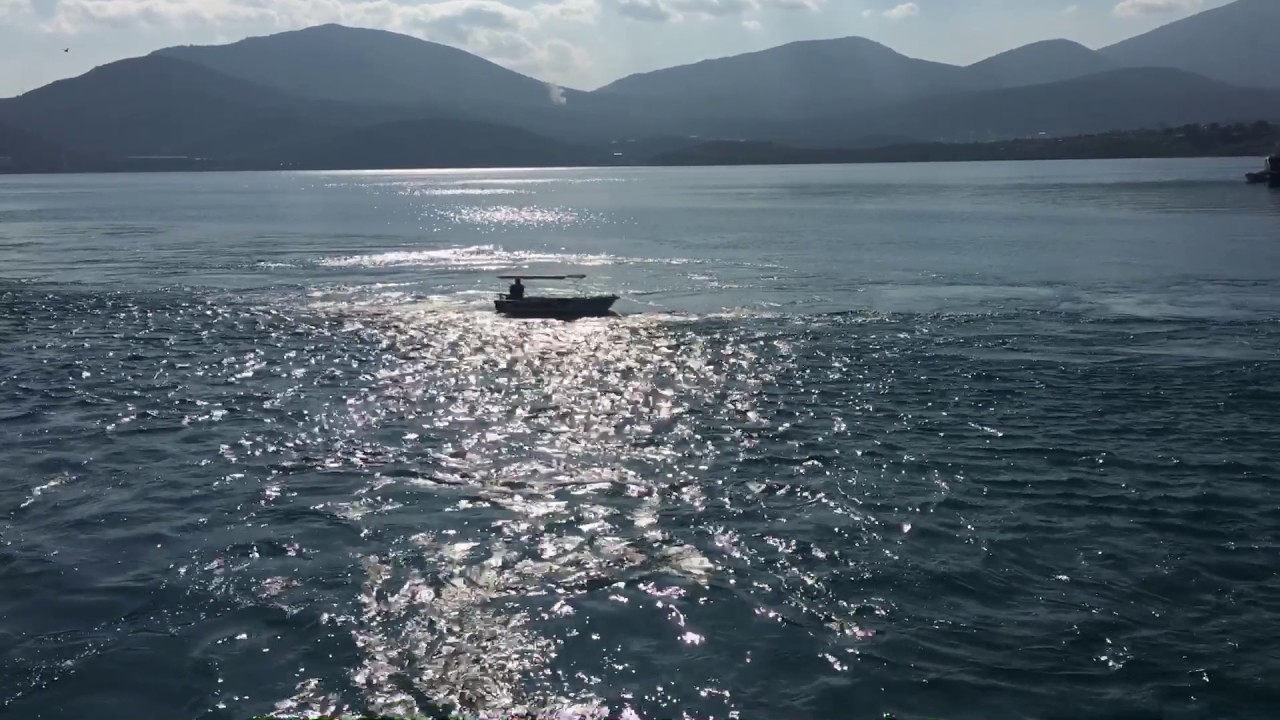 Greece -Eubea - Tides and the Euripus Phenomenon - YouTube