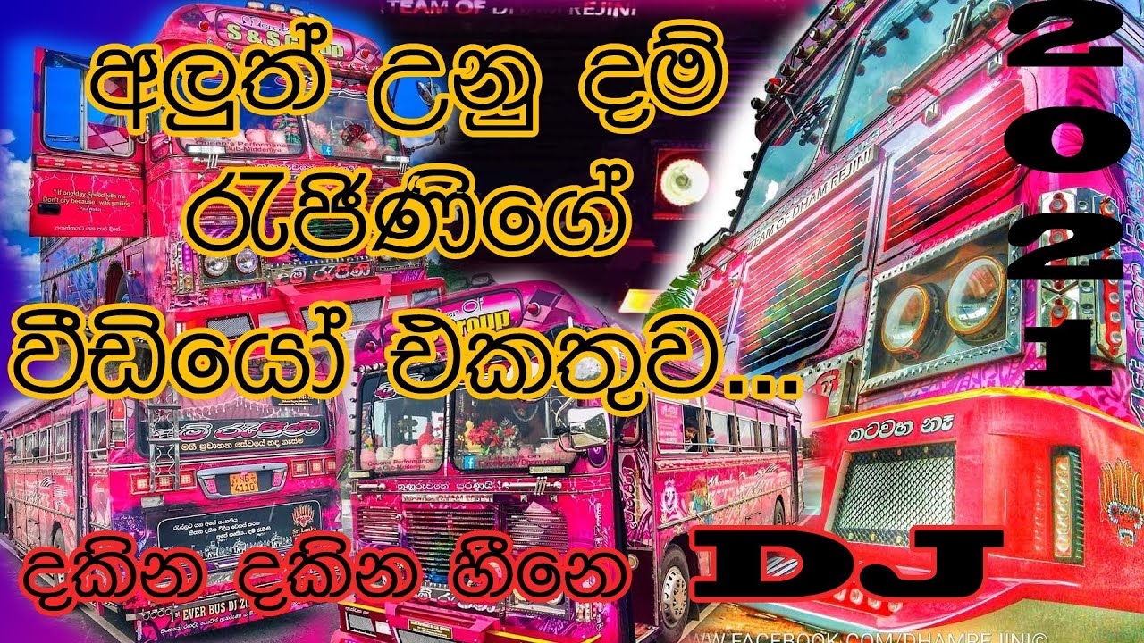 Dam Rajina New Video 2021 | New Update Dam Rajina | #Shaggylk # ...