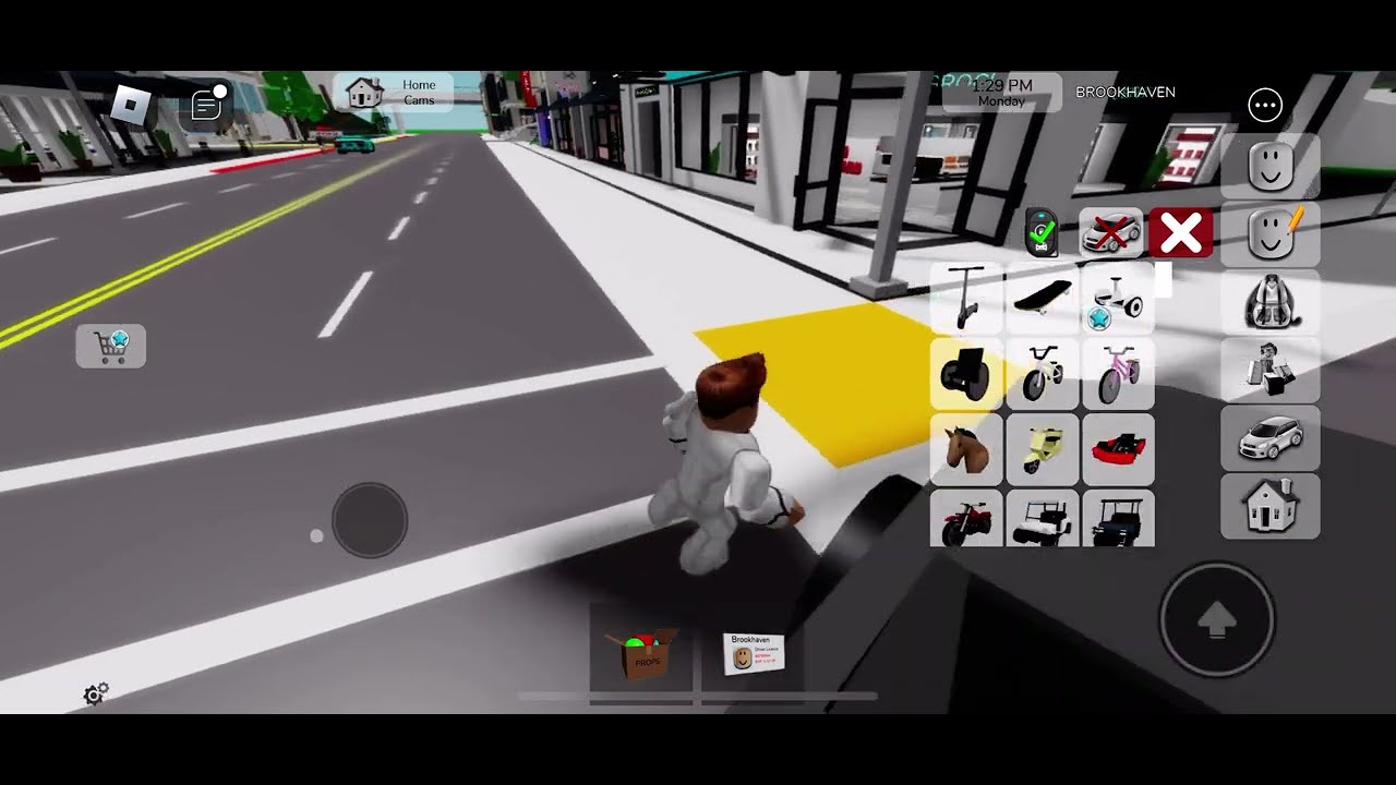 Border Patrol in Brookhaven RP - YouTube