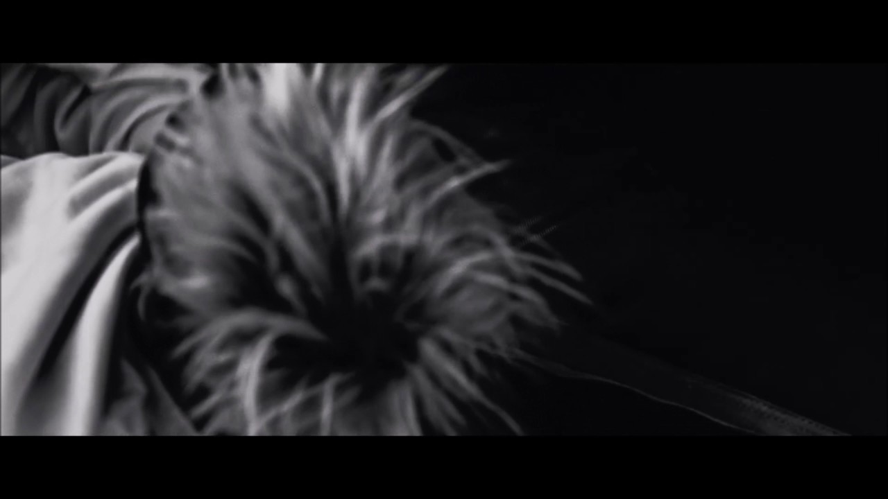 DAT ADAM - Sanageyama TADDL-PART [6min] (Official HD Video) - YouTube