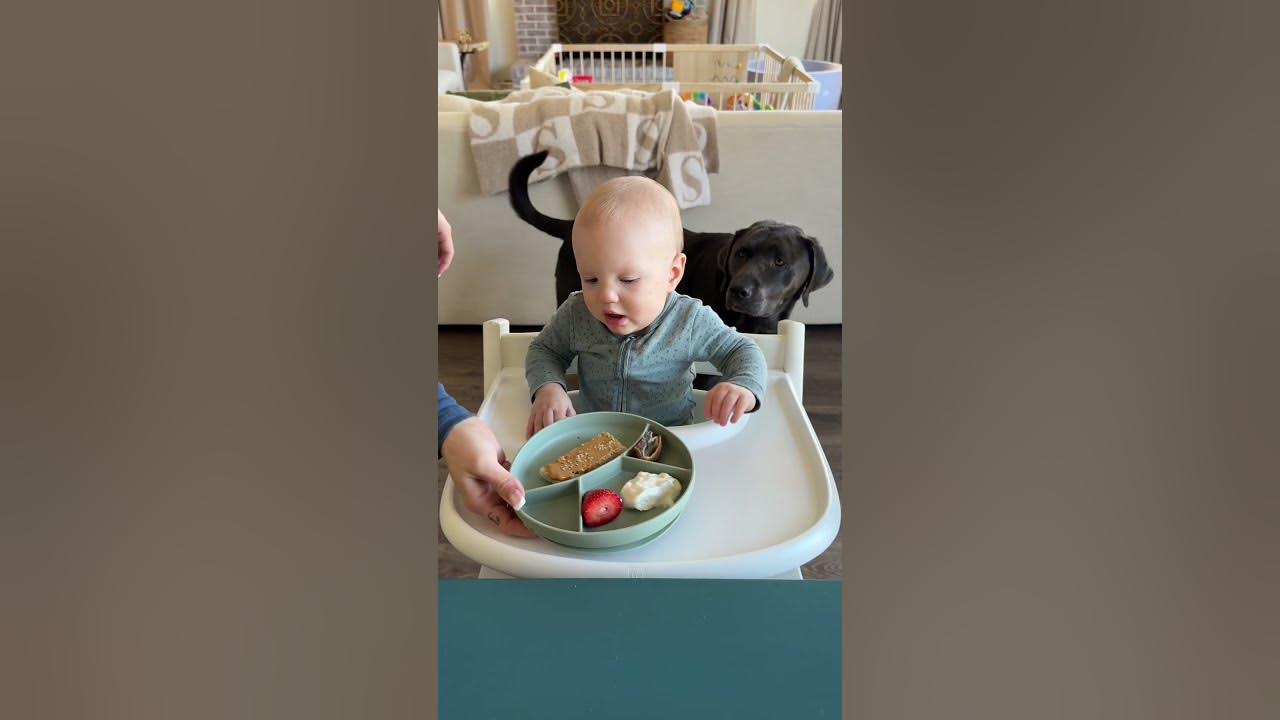 BLW day 40!! #blw #babyleadweaning #babyfood #momlife - YouTube