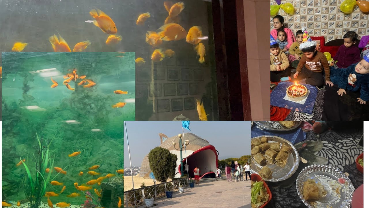 Jammu tourist spot (Fish Aquarium Bawe jammu / Aarav birthday ...
