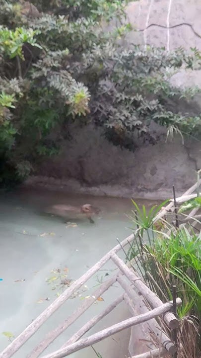 30 de marzo de 2025 - YouTube