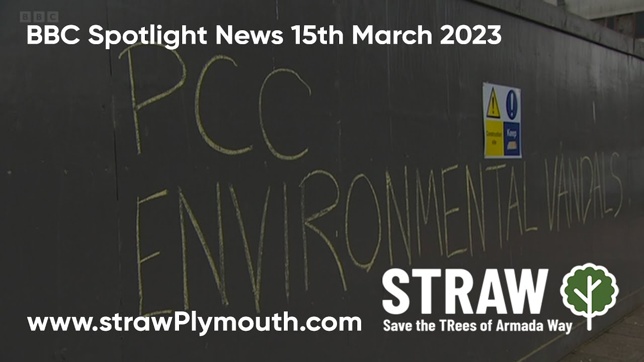 BBC Spotlight News Armada Way tree felling - YouTube