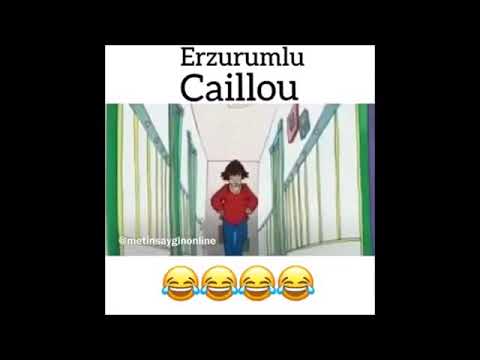 Caillou bile erzurumlu