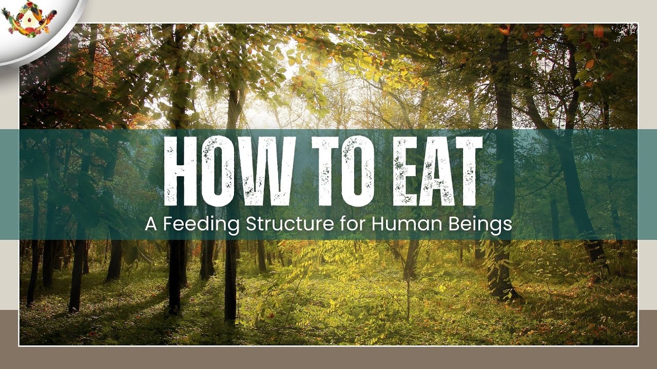 How To Eat : A Feeding Structure for Human Beings | Natural Hygiene ...