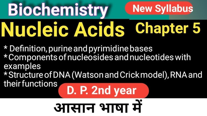 Nucleic Acids Biochemistry Pharmacy Youtube DNA Vs. RNA – 5 Key