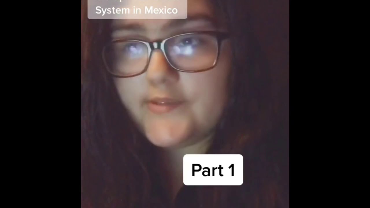 Simple version of the Spanish Caste System in Colonial Mexico - YouTube