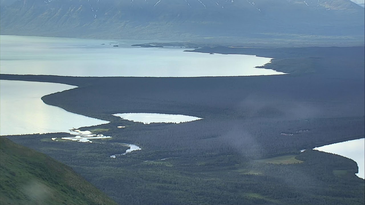 Dumpling Mountain - Katmai National Park Cam 07-21-2018 08:03:19 - 09: ...