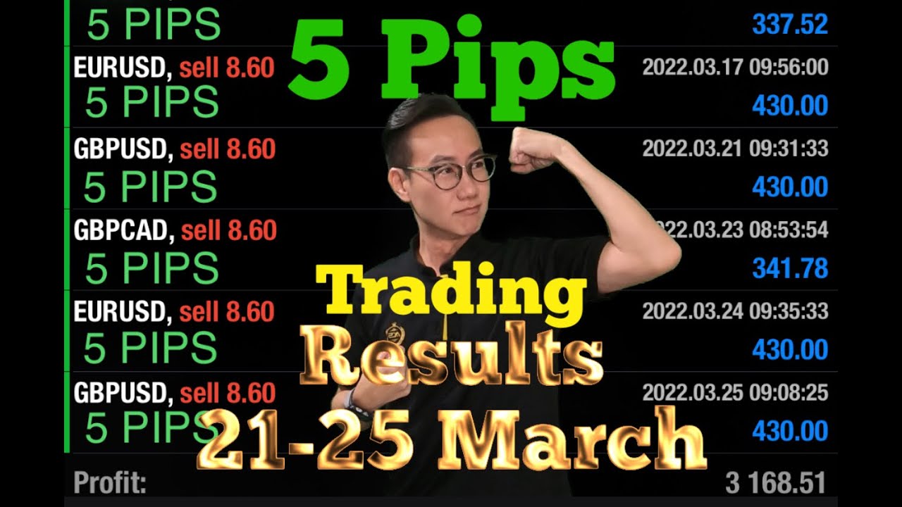 WHAT ARE THE RESULT OF 5 PIPS TRADING PLAN | UPDATE 10 #Chasingatrade ...