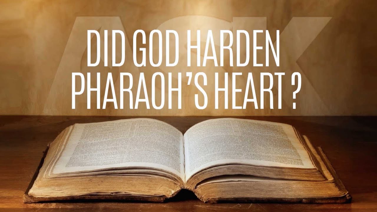 Did God Harden Pharaoh s Heart YouTube did-god-harden-pharaoh-s-heart-youtube