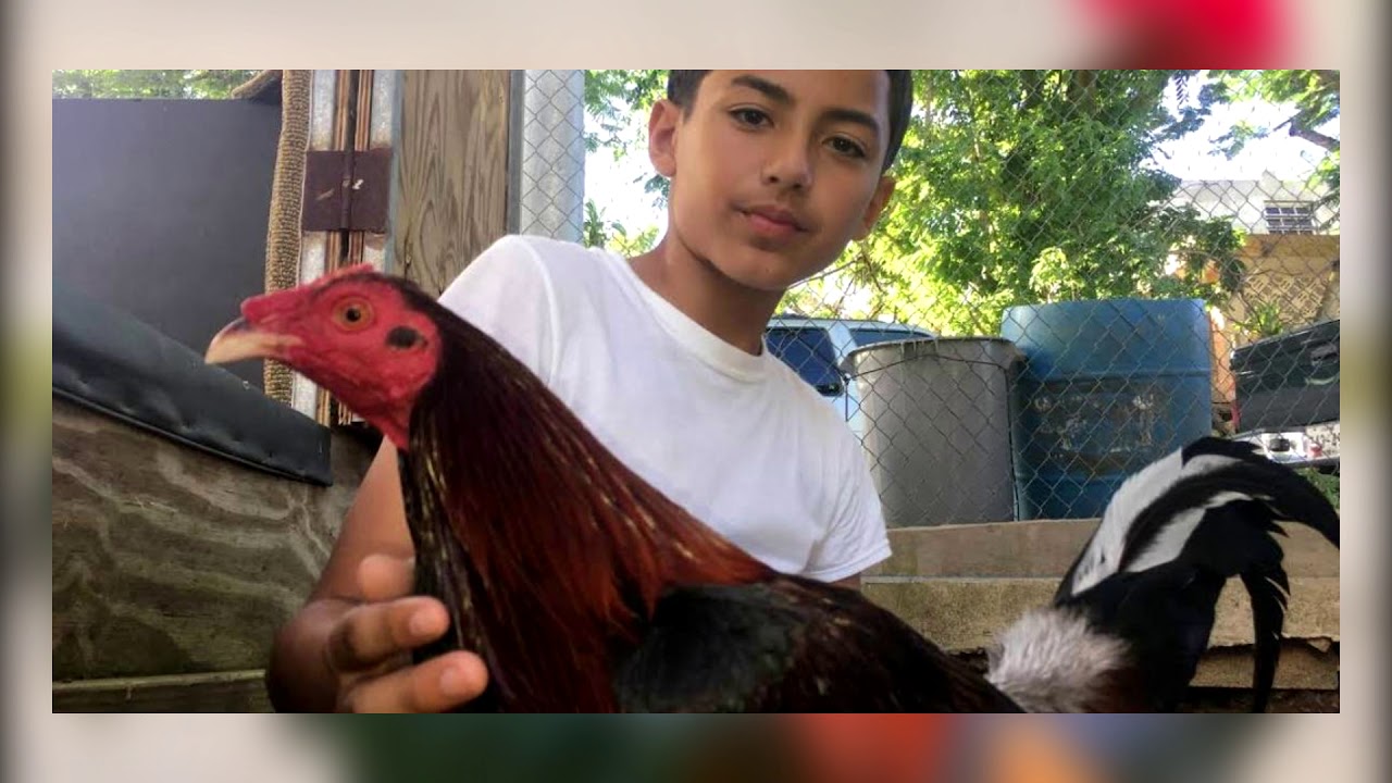 Yo Soy El Mejor Gallero intérprete: Roberto Aguilar, autor: Roberto Aguilar - YouTube