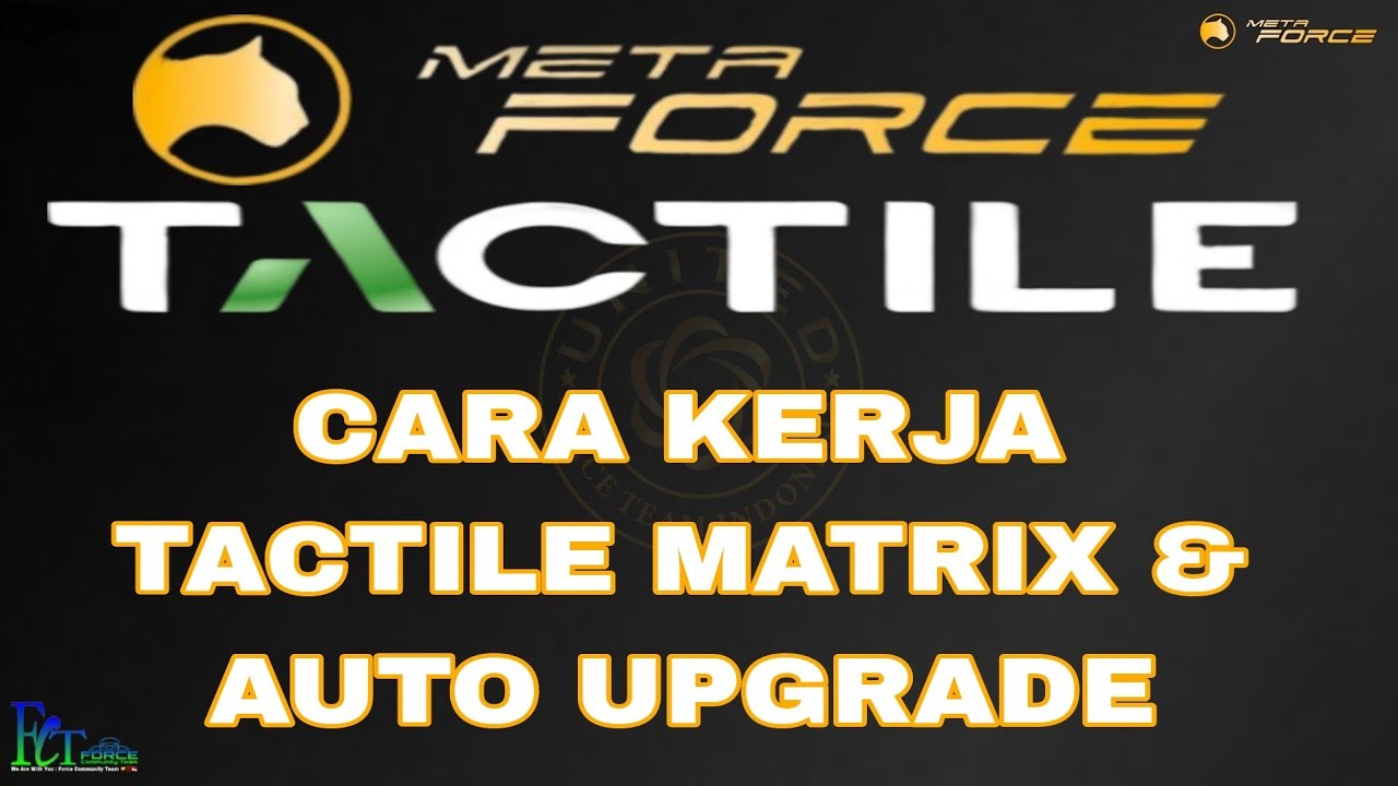CARA KERJA TACTILE MATRIX & AUTO UPGRADE DI || META FORCE SPACE - YouTube