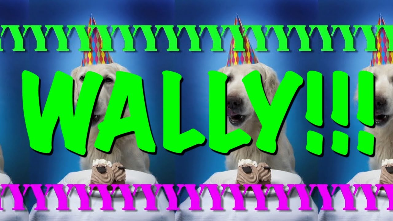 HAPPY BIRTHDAY WALLY! - EPIC Happy Birthday Song - YouTube