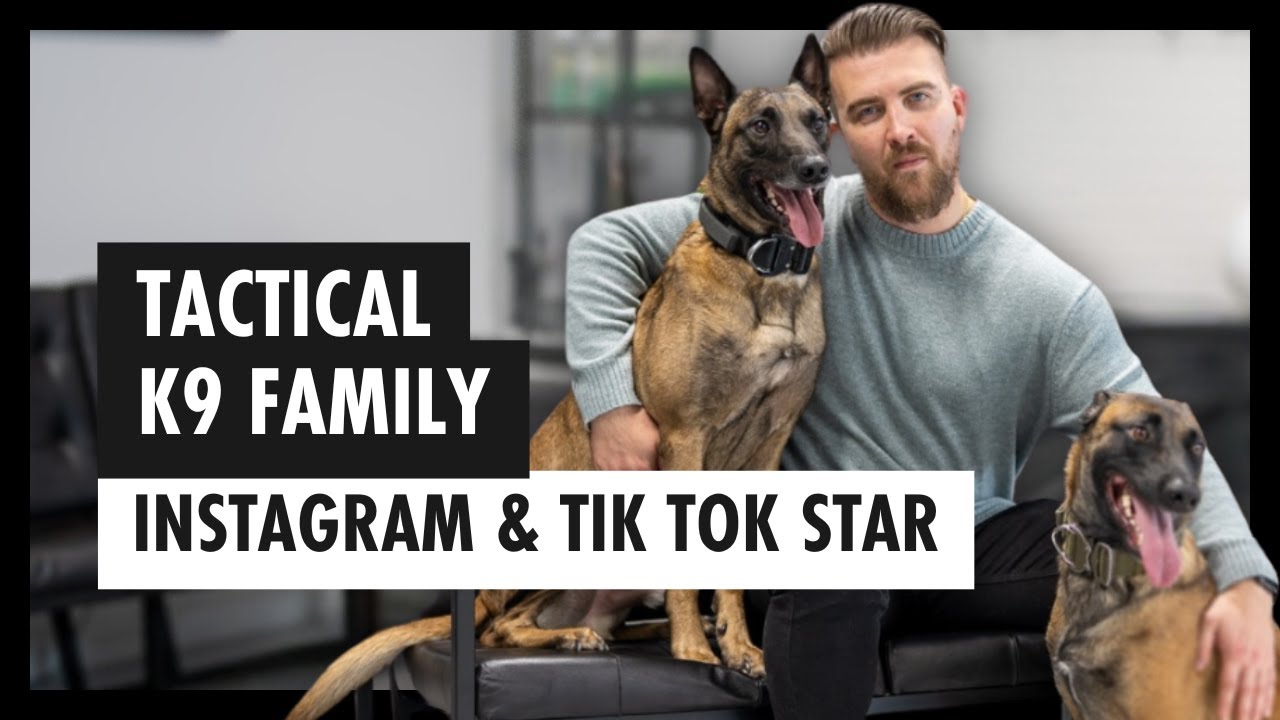 Tactical K9 Family: Einblicke In Das Leben Mit Arbeitshunden – Teil 1 ...