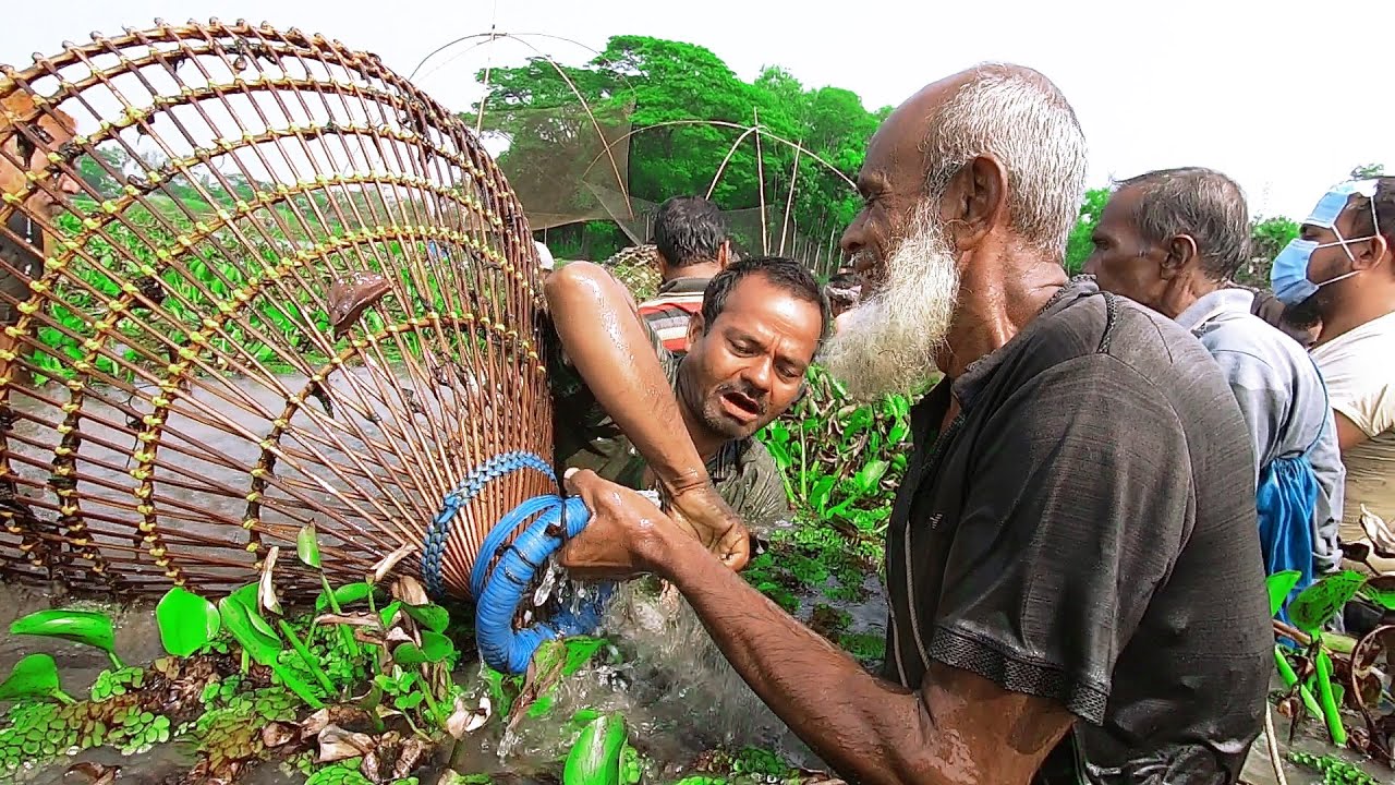 Amazing Fishing | Natural Bill | Traditional Polo Fishing | Reanna ...