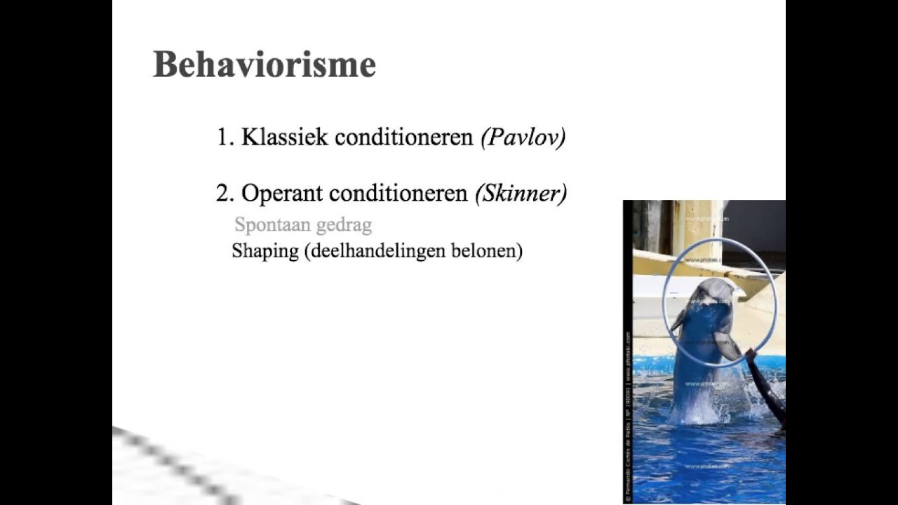 behaviorisme leerprincipes - YouTube