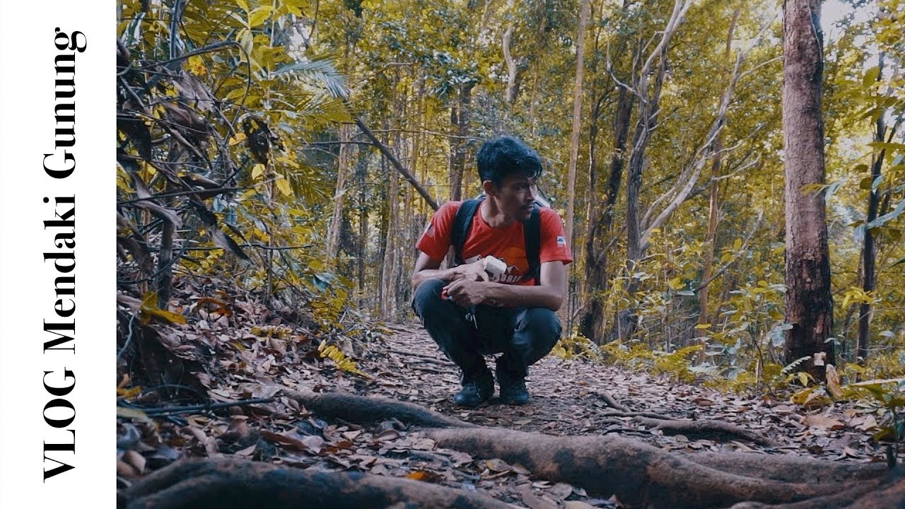 Mendaki Bukit Batu Putih - Mendaki Berseorangan Di Awal Pagi! | VLOG² ...