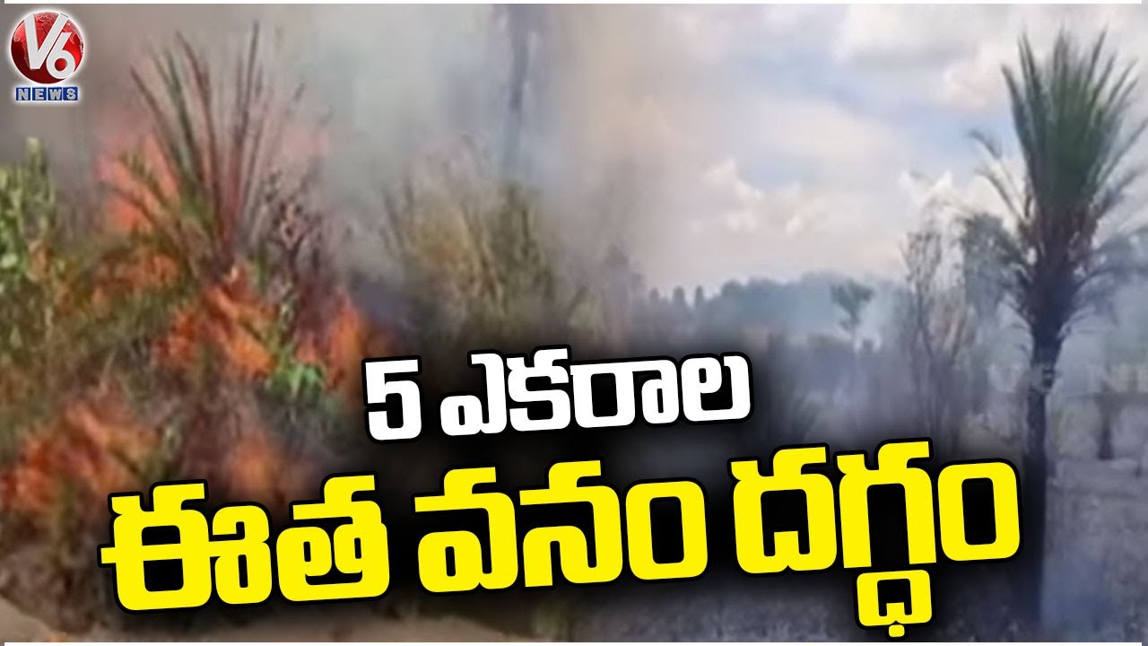 Massive Fire Engulfs In Eetha Vanam At Bheemaram Mandal | Jagtial | V6 ...