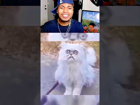 Skinwalker Disguised ￼As Animals 😳