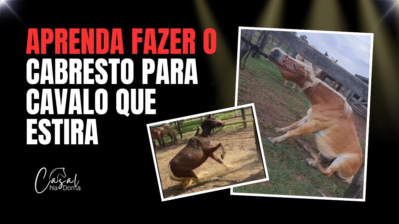 Cabresto Para Cavalos Que Estiram, Passo a Passo - YouTube