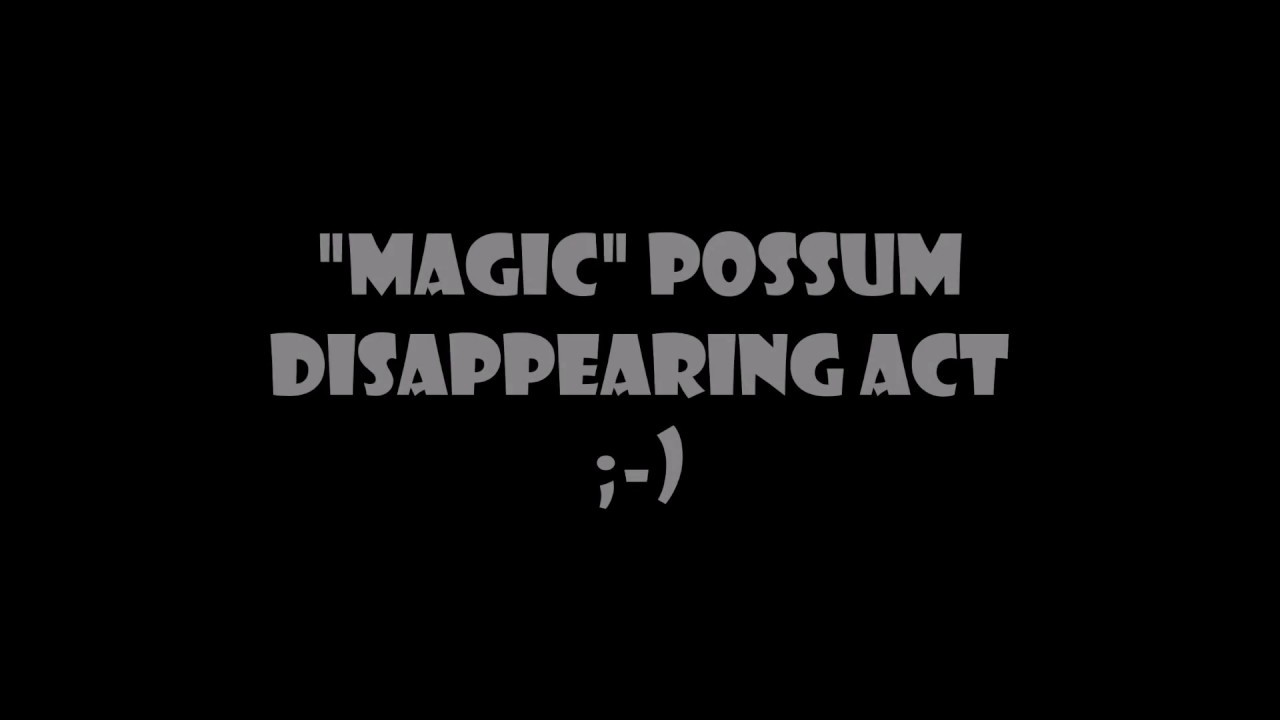 Magic Possum Disappearing Act - YouTube