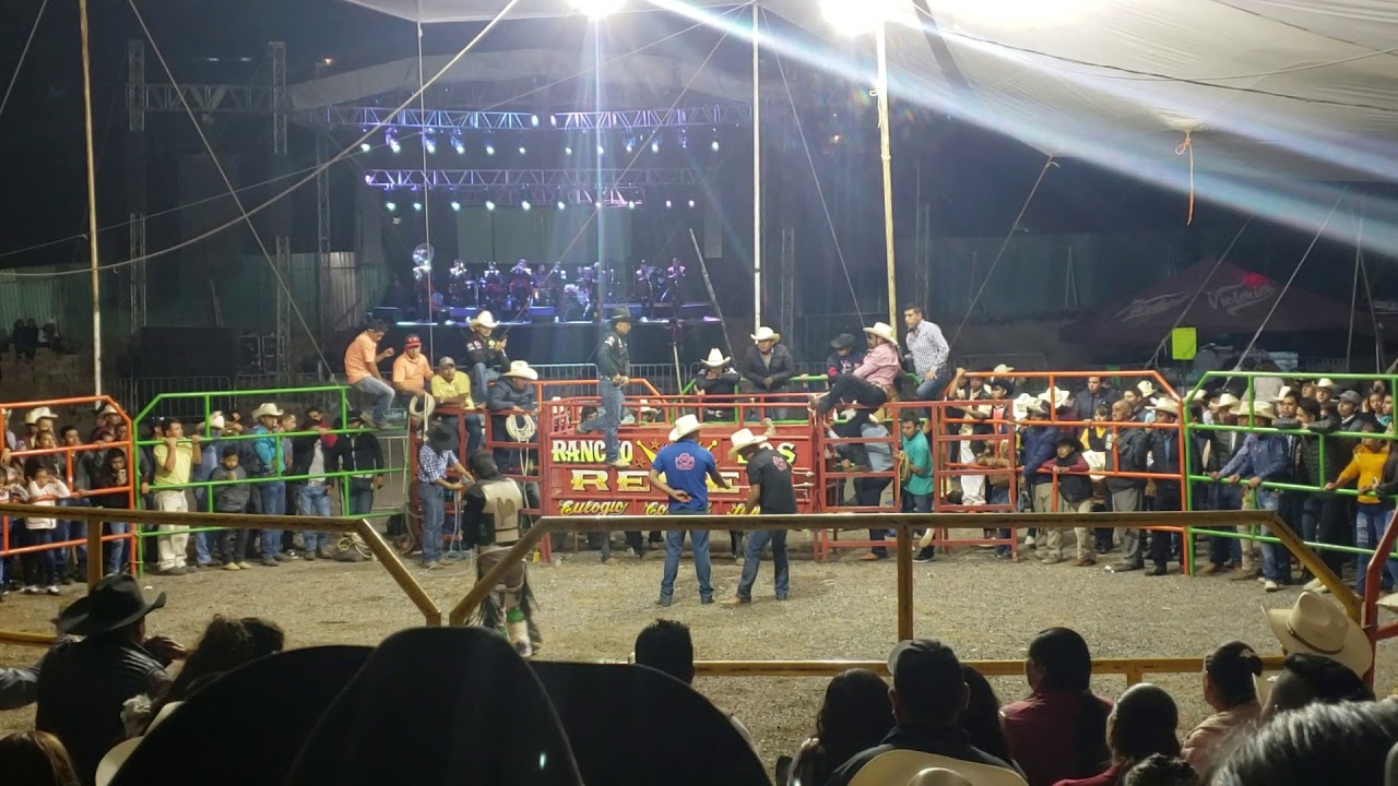 RANCHO LOS REYES 👑el traga balas - YouTube